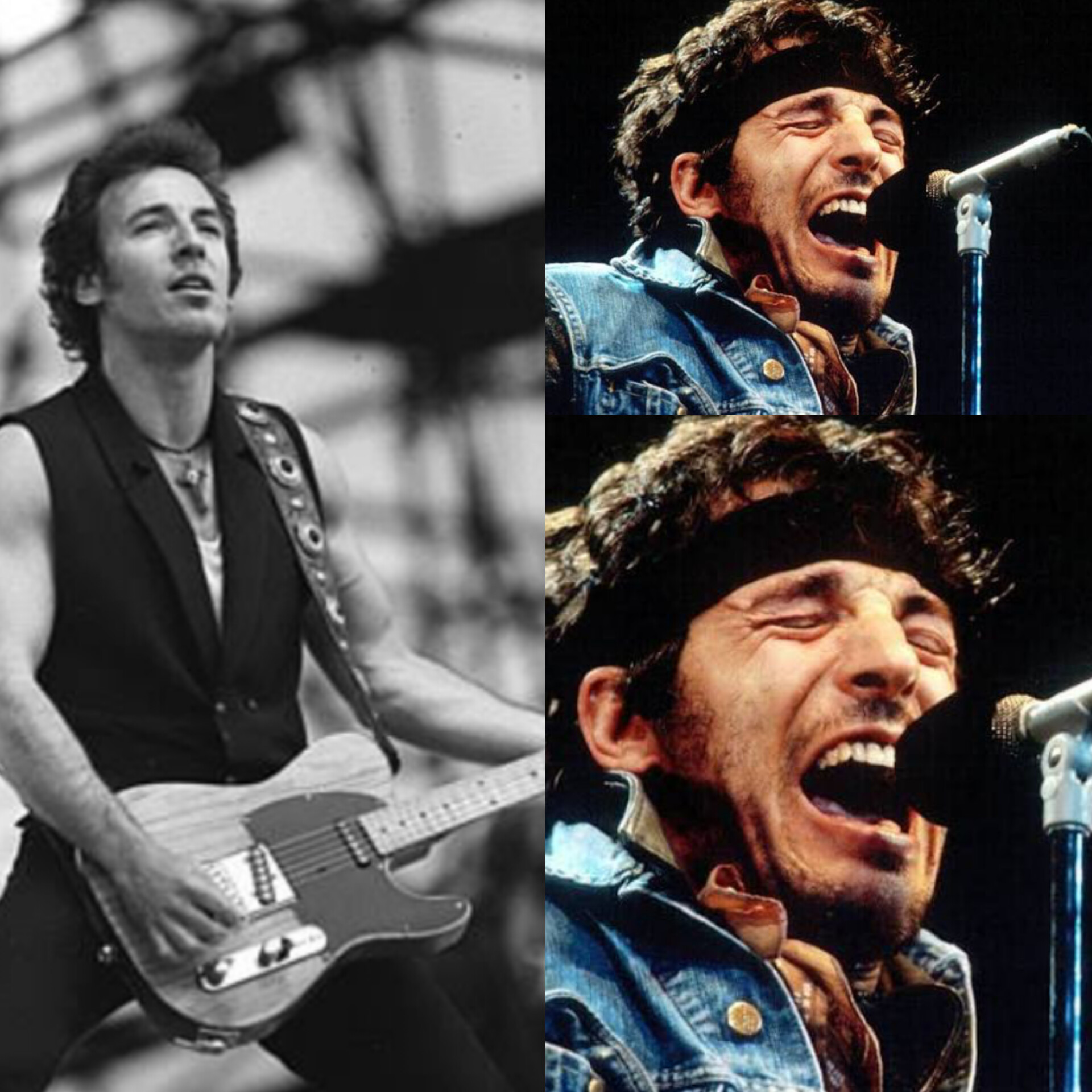 Bruce Springsteen Biography: Net Worth, Age, Wife, Education, Family ...
